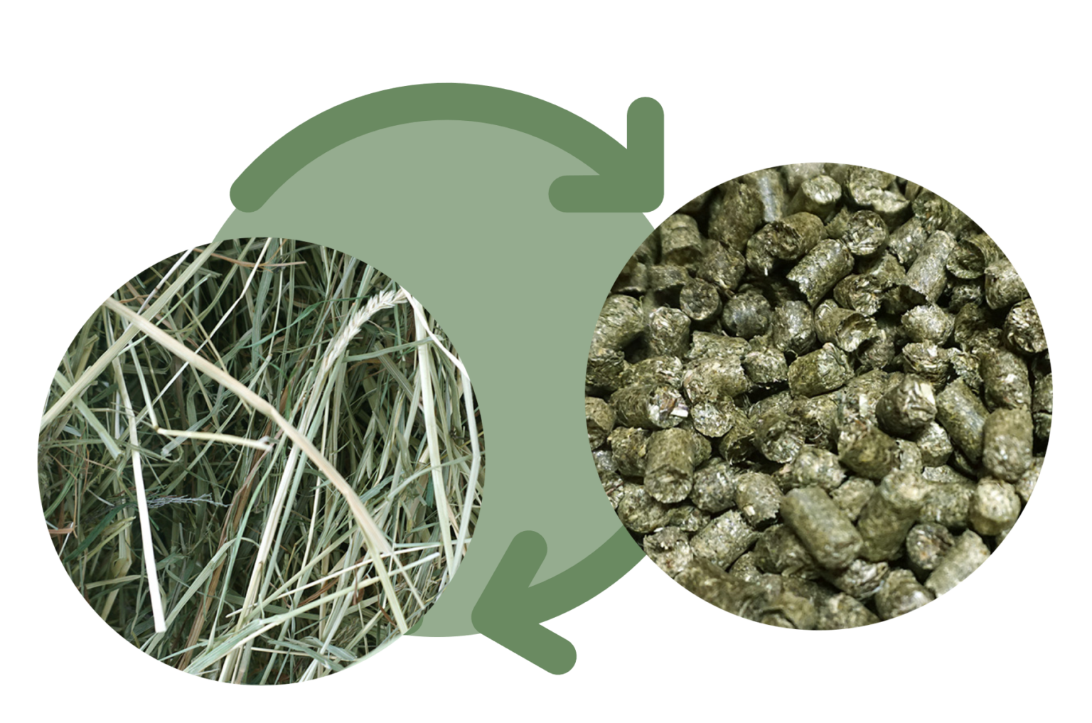 Lohnpelletierung | Purpellets